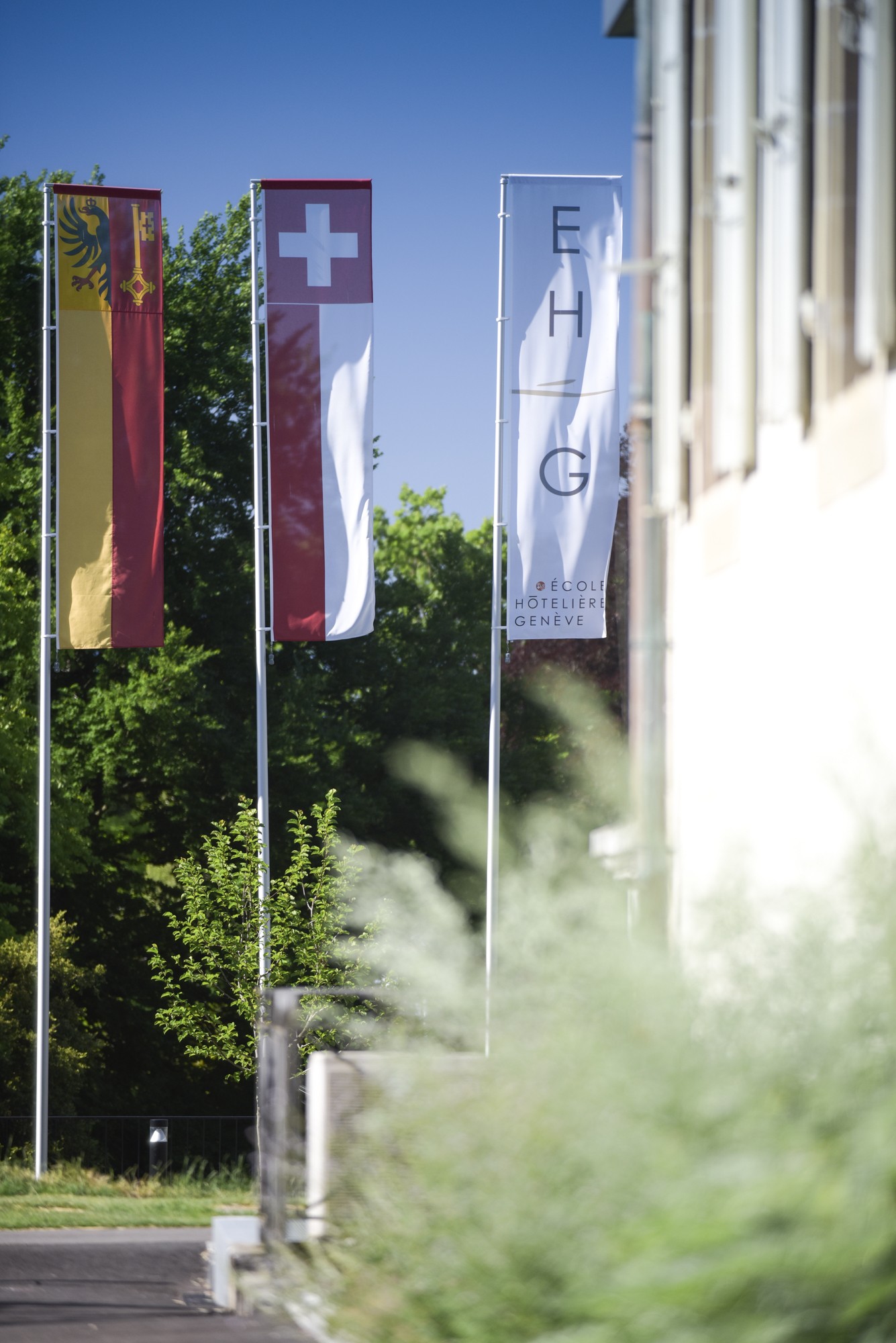 Vision Mission Valeurs | Ecole Hôtelière Genève